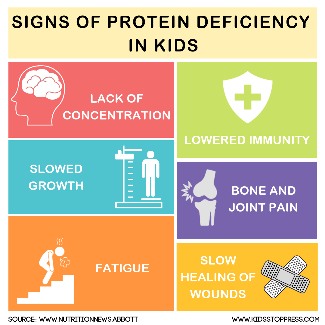 Is Your Toddler Getting Enough Protein During Their Foundation Years ...
