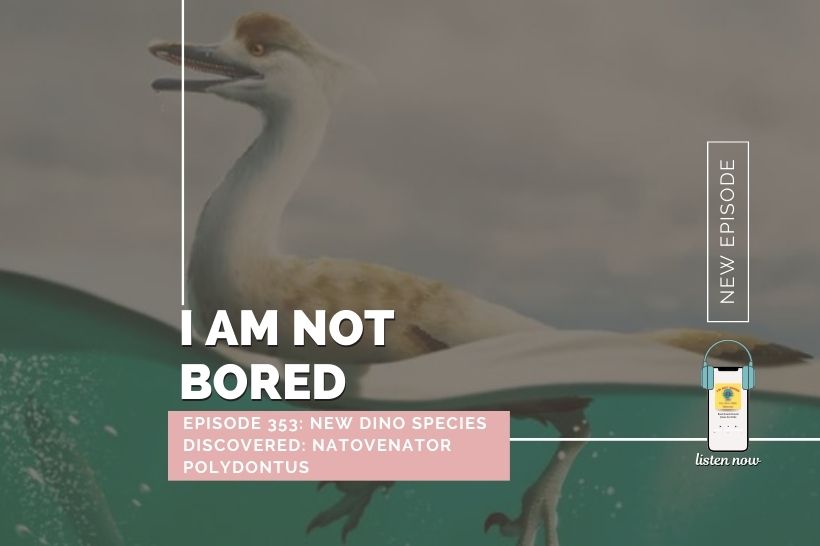 New Dino Species Discovered: Natovenator Polydontus | Kidsstoppress